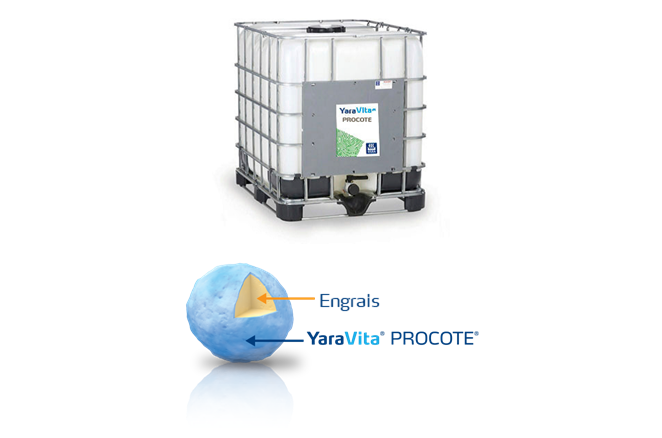 YaraVita® PROCOTE™ B | Yara Canada